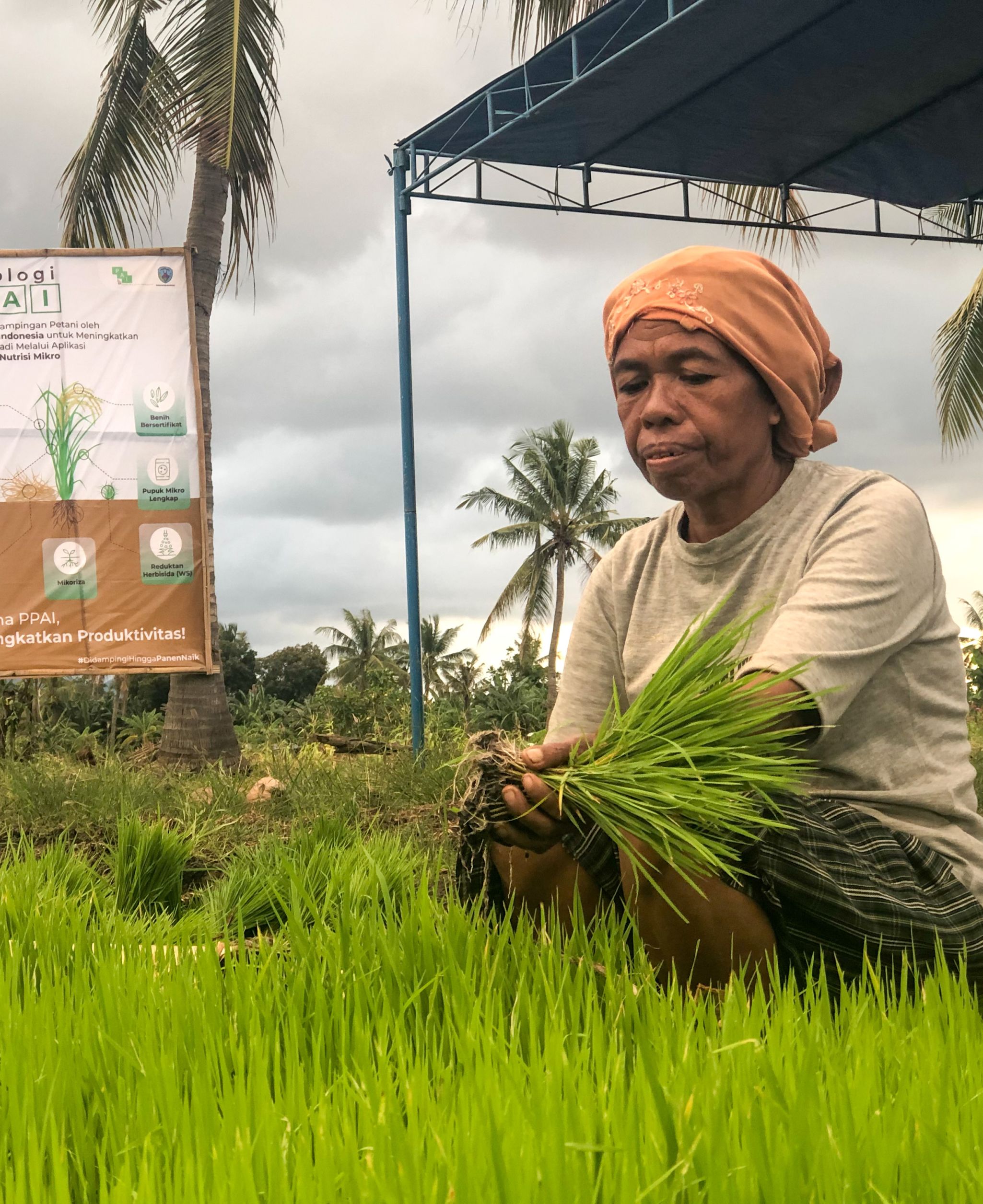 Can organic farming be scaled to feed Asia?