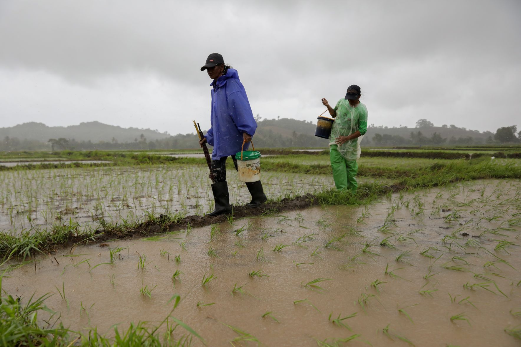 In pictures: Typhoon Mawar threatens livelihoods and infrastructure in ...
