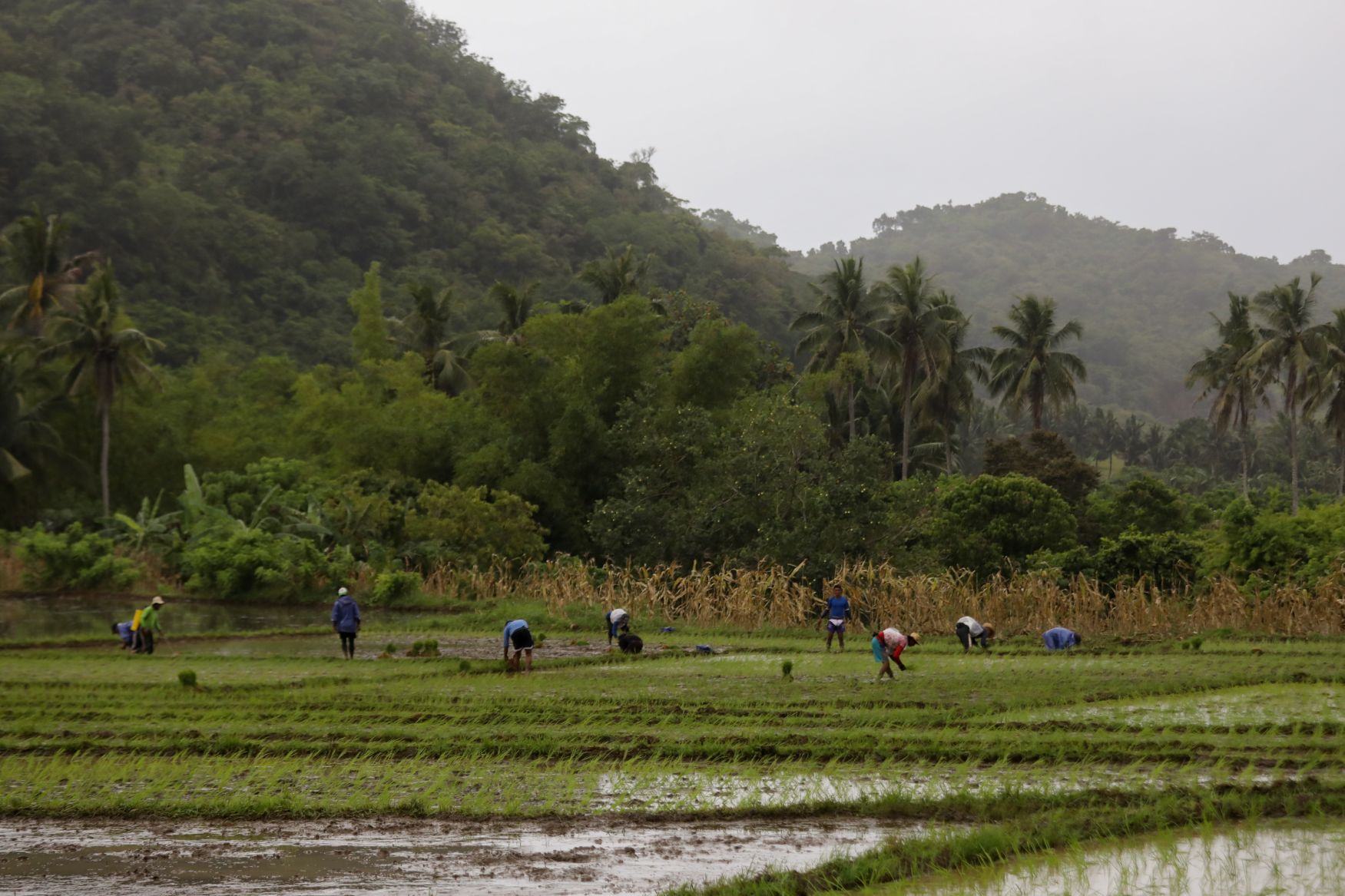 In pictures: Typhoon Mawar threatens livelihoods and infrastructure in ...