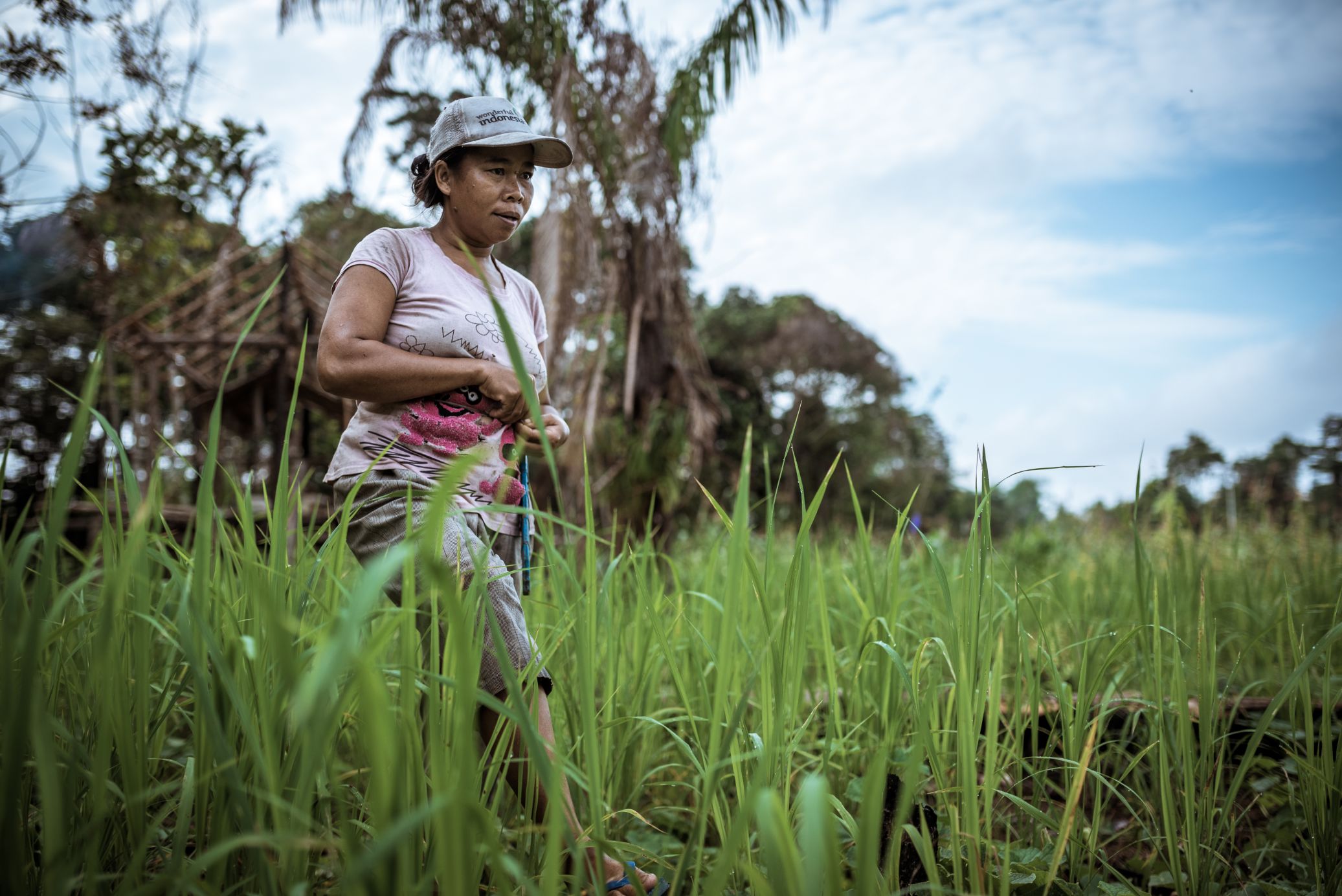 After a 40-year struggle, indigenous guardians of Indonesian forest ...